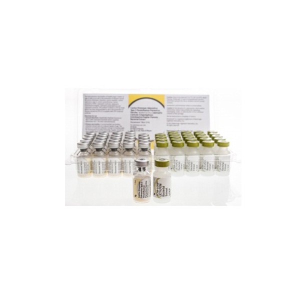 Ofertas - Promociones - Finelli