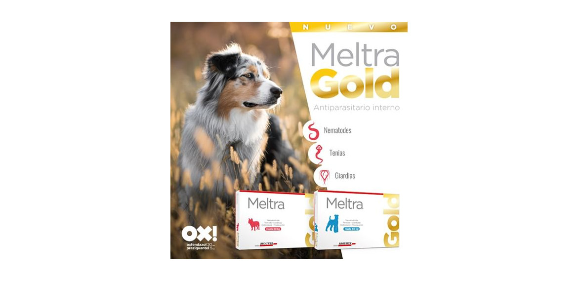 Laboratorio Brouwer presenta Meltra Gold, nuevo antiparasitario interno ...